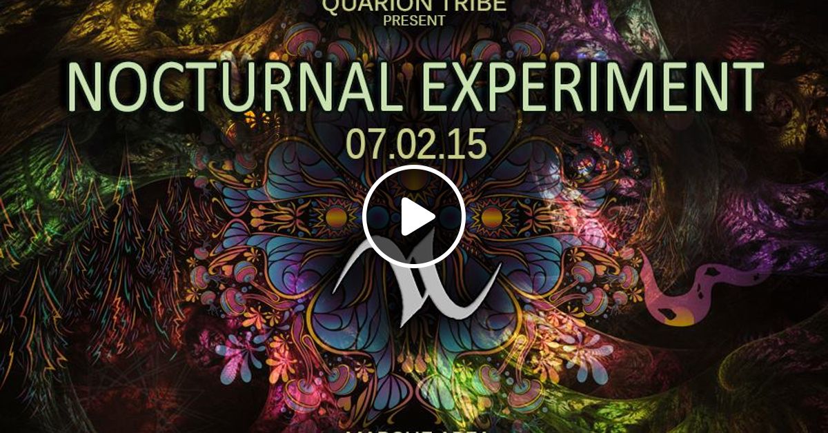 Nocturnal Experiment organised by Quarion Tribe by Foose (GreenTree ...