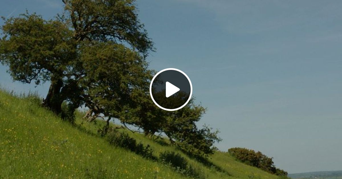 Thea HD w/ Flaer - 14th July 2024 by Mixcloud NTS Radio | Mixcloud