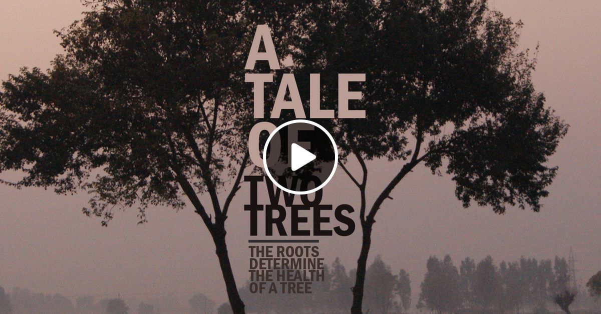 A Tale of Two Trees Part 1: "Deep Roots" by Wyandotte Family's Podcast ...
