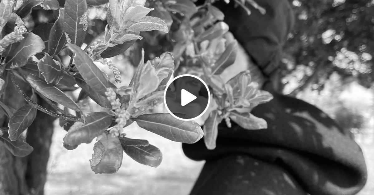 Music & Co. 23-05-13 / Jig Pokka by Music & Co. | Mixcloud