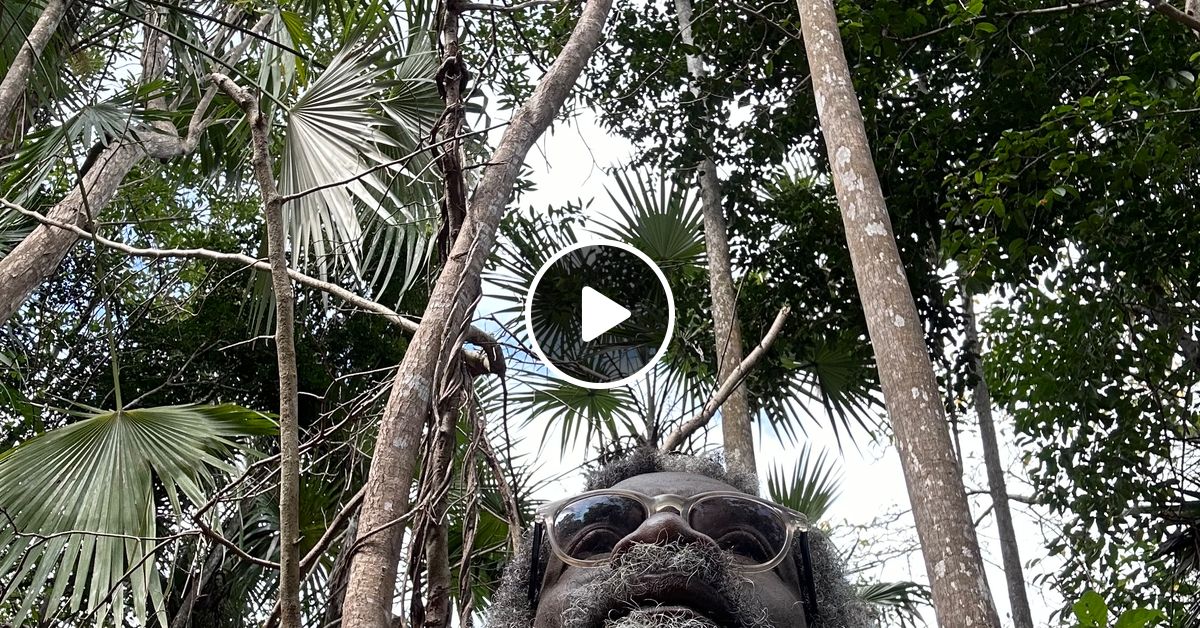 "That tall one over there" by I. Groove Bar! | Mixcloud