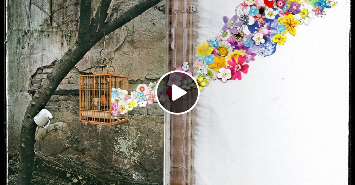 Zodiac Signs Taurus Volume 6 by Skyecatcher | Mixcloud