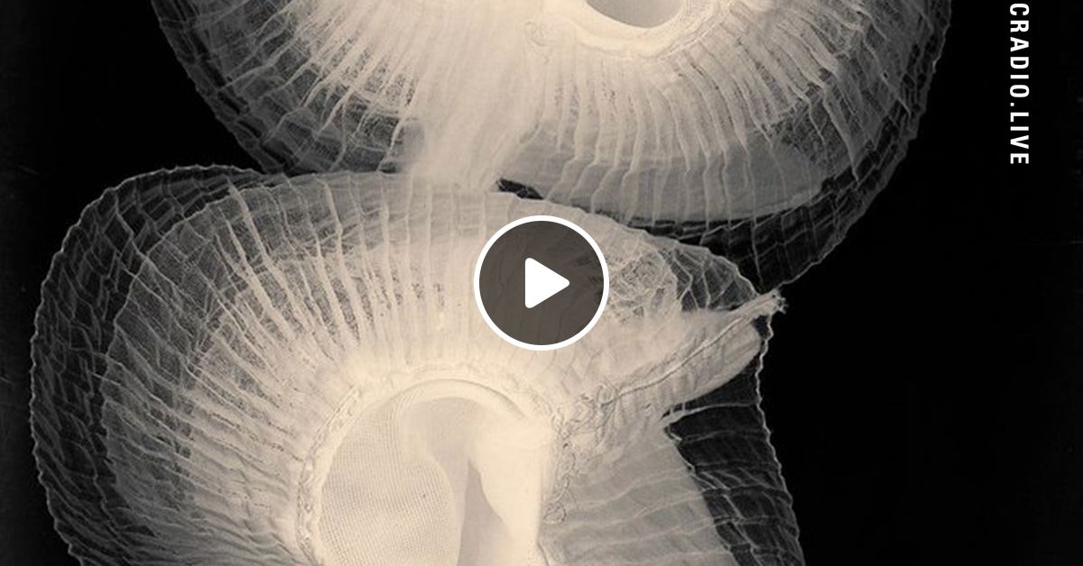 NÓTT w/ Prima Selektor & Lara Magnus - 25th August 2022 by Internet ...