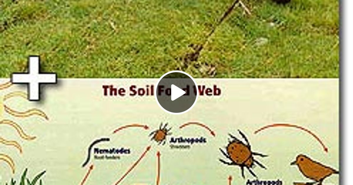 Dig It MainFM - Shu Yap special by mainFM | Mixcloud