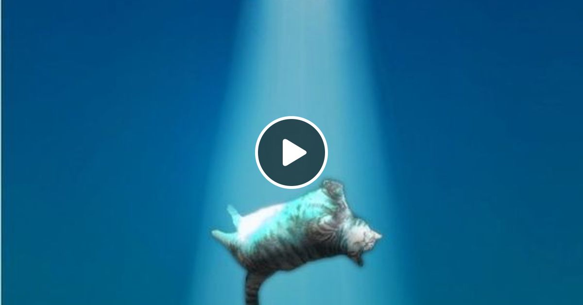 Mengelmoes 41: Maribou State, Alfa Mist, Sol Virani, GoldLink, Mick ...