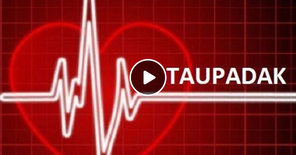 TAUPADAK Despidos en SKF de Tudela, semana por la sanidad pública, y ...