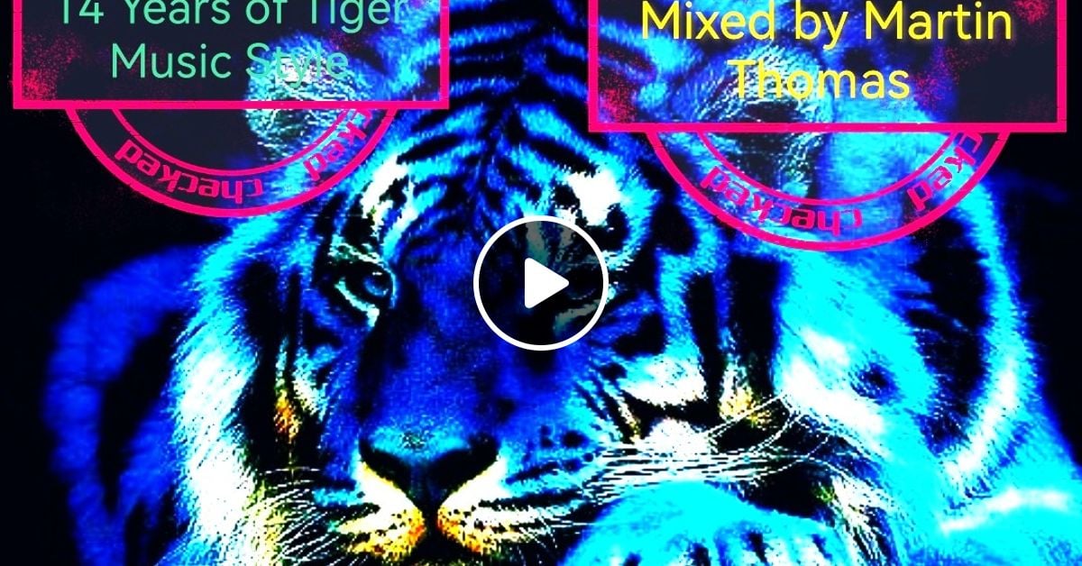 14 Years of Tiger Music Style Best Of Mixed by Martin Thomas by Martin ...