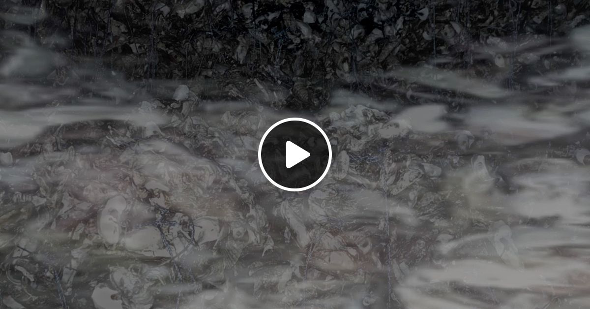 Streams Without Scenes w/ Jorengthericecake & Joo YunTakk (October 2022) by dublab DE | Mixcloud