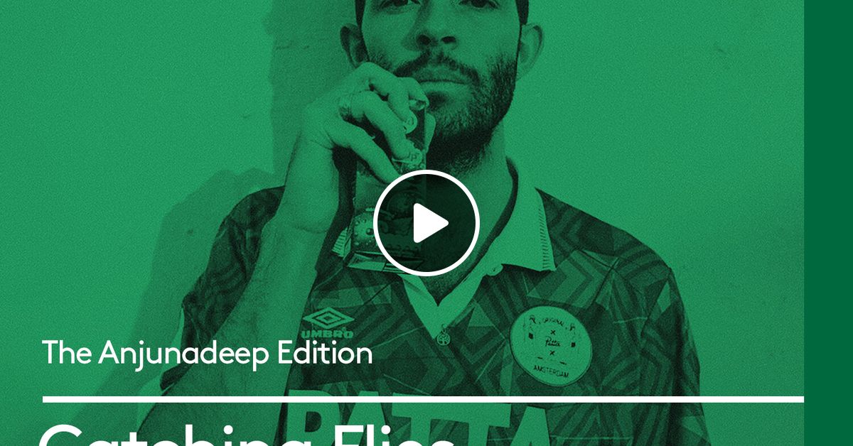 catching flies anjunadeep