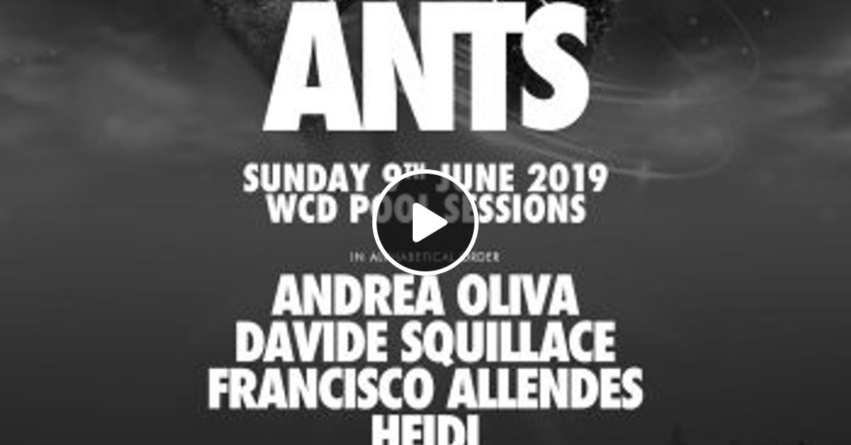ant printworks