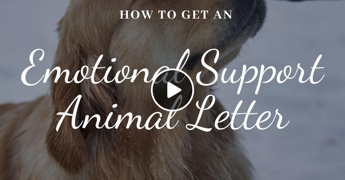 Steps to get ESA Letter by Clay Benson | Mixcloud