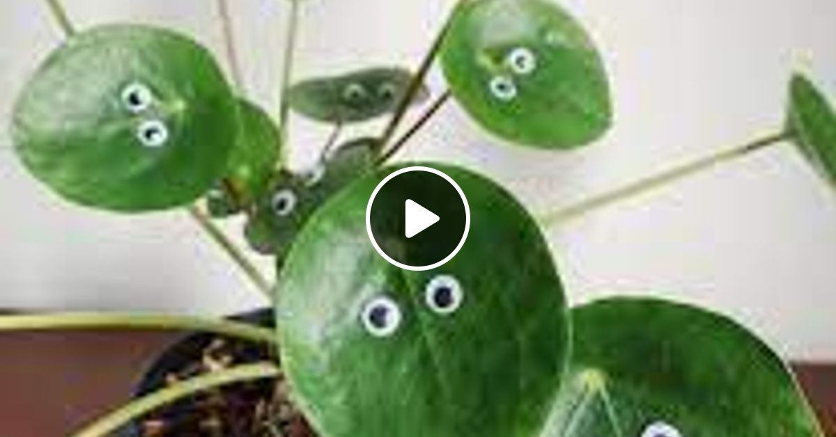Mixcloud