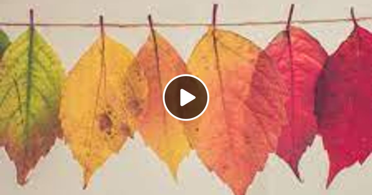 Dancing with change, again and again... by SHAUNA DEVLIN | Mixcloud