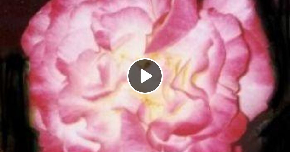 Love Song Series-OPM Edition by Mastermixcrew | Mixcloud