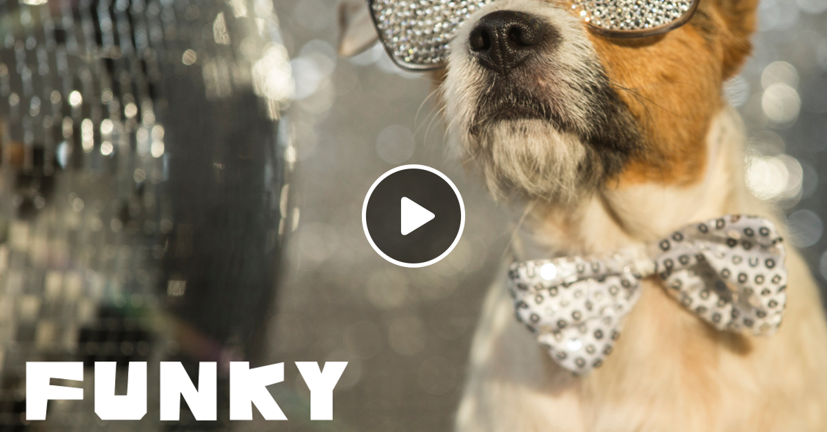 Funky Disco House Mix 2024.4 by DJose Dance Mixes | Mixcloud