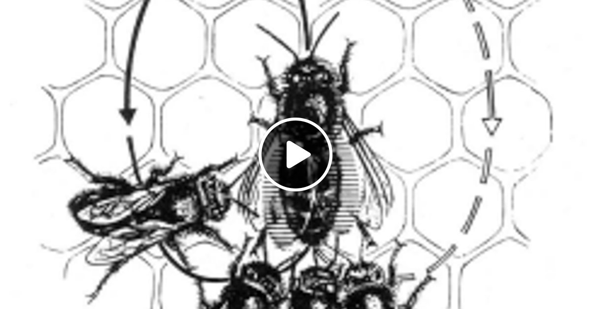 Bigbottomedbeetz - Mixed tape: Yardsale 70s, 80s, & 90s 2022-09-02 by bigbottomedbee | Mixcloud