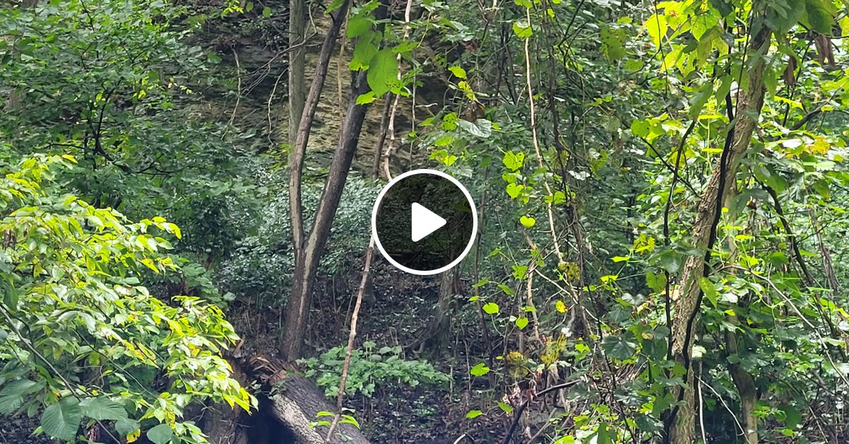 Not Green Enough? Pittsburgh Free Form Radio #76 Clair Thomas by ...