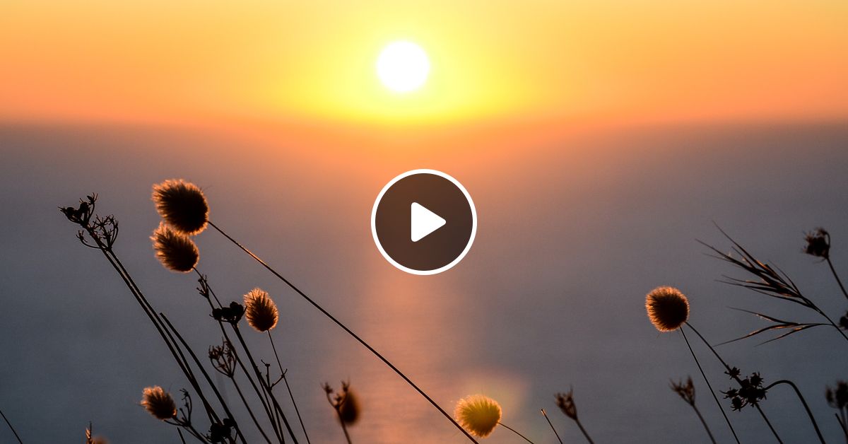 Noćurak za raspust :: pesme o letu, putu i sreći :: Summer Breeze by ...