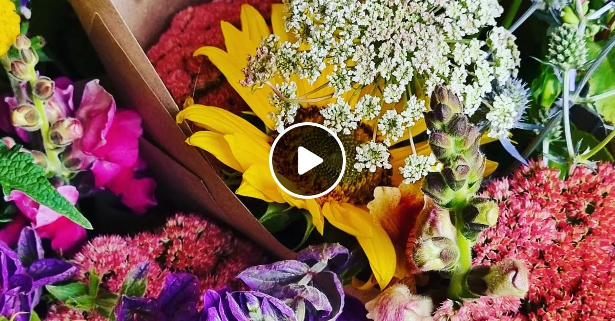 Dig It 2023_04_29_Newstead Native and Fergus Flowers by mainFM | Mixcloud