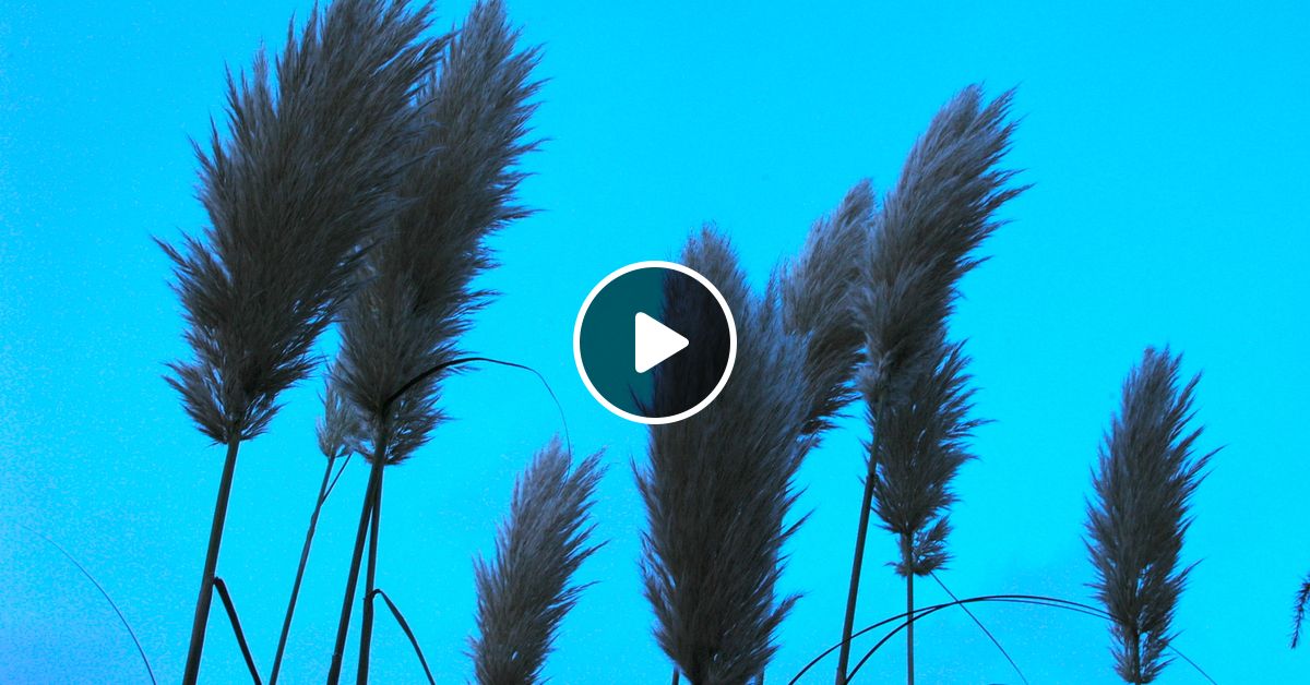 Michael e Music 5th Edition by Michael e | Mixcloud