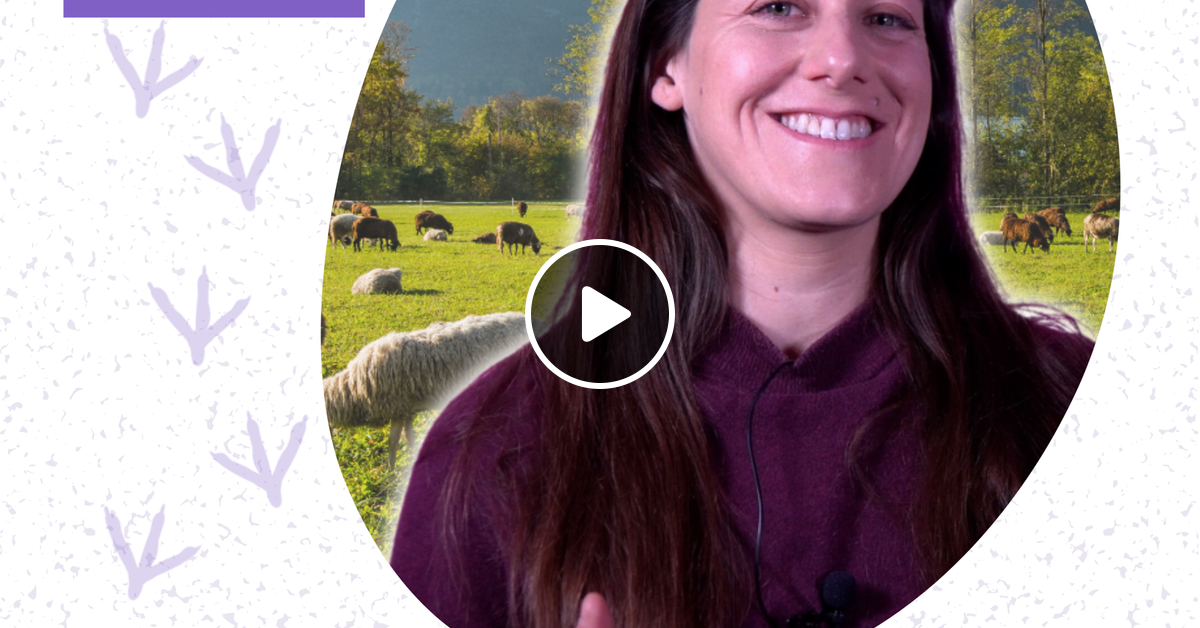 Animal Rights Go Viral: Natalie Fulton Reaches Beyond the Echo Chamber ...