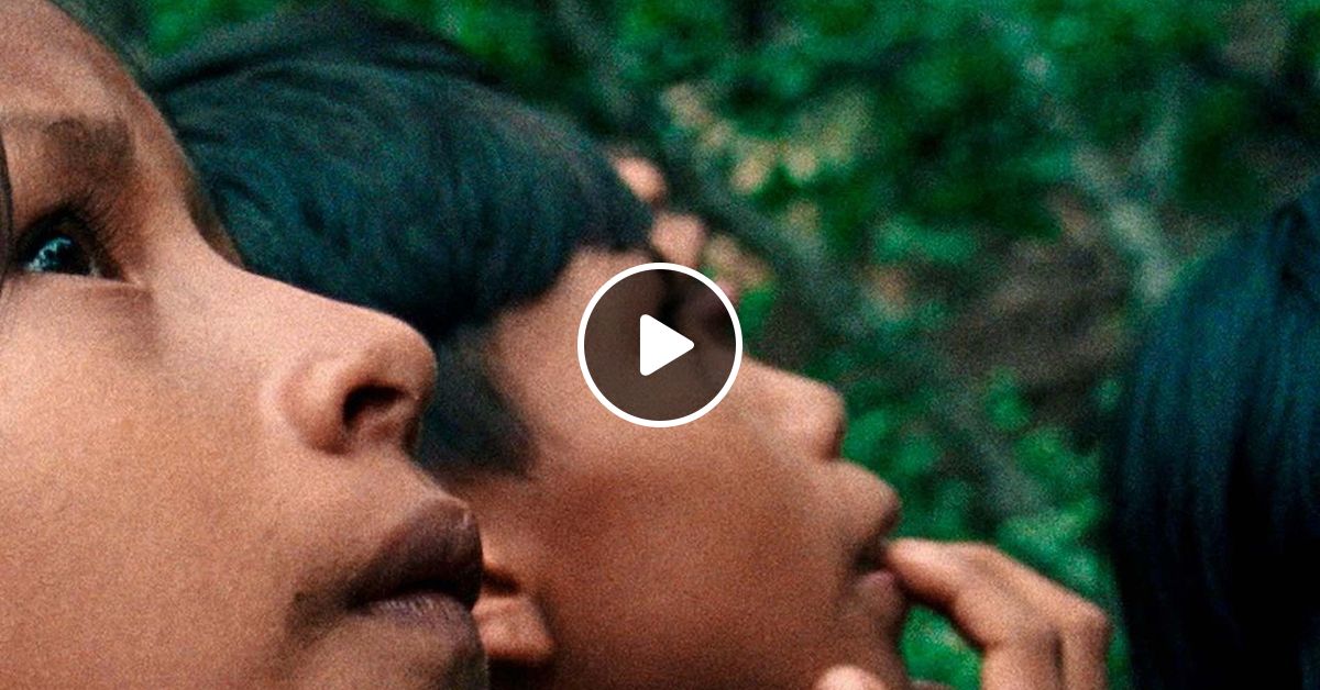 La fleur de Buriti, un film magnifique, une lutte historique - Chronique - La Quotidienne by ...