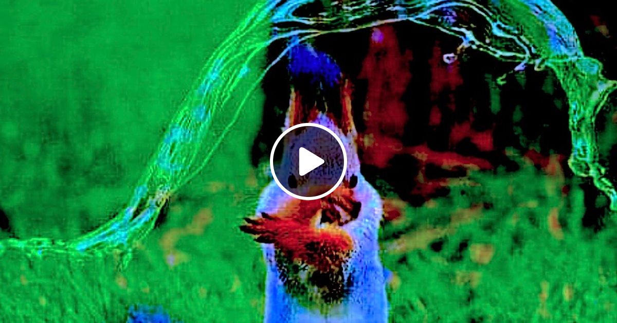 gib ihm, Morgan vol.2 - the Banger edition by djnjd | Mixcloud