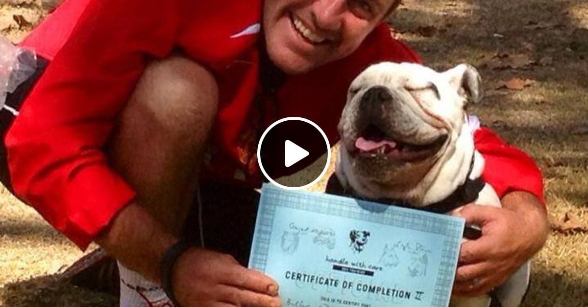 A conversation with Dominic Griffin, VP Licensing at Disney Music Group ...