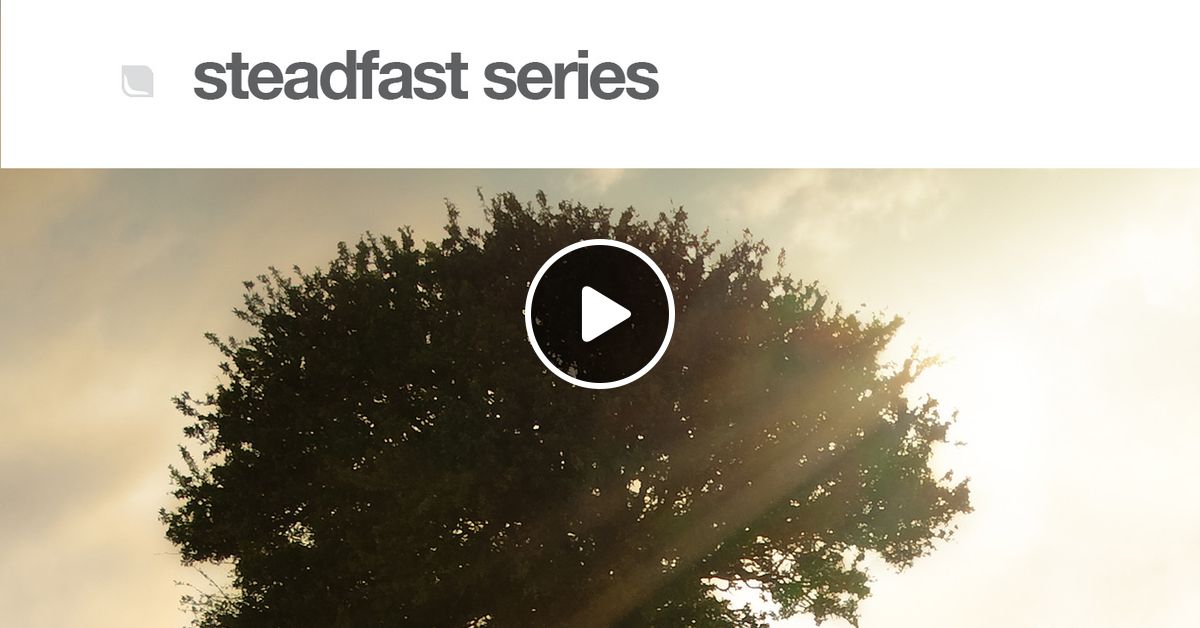 Steadfast Series Part 2 – Bulldog Tenacity Part 1 by Bayside Church ...