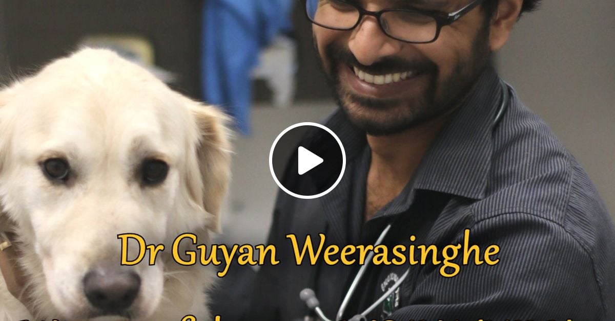 2018 Next Generation Veterinary Award - Dr Guyan Weerasinghe by VET ...