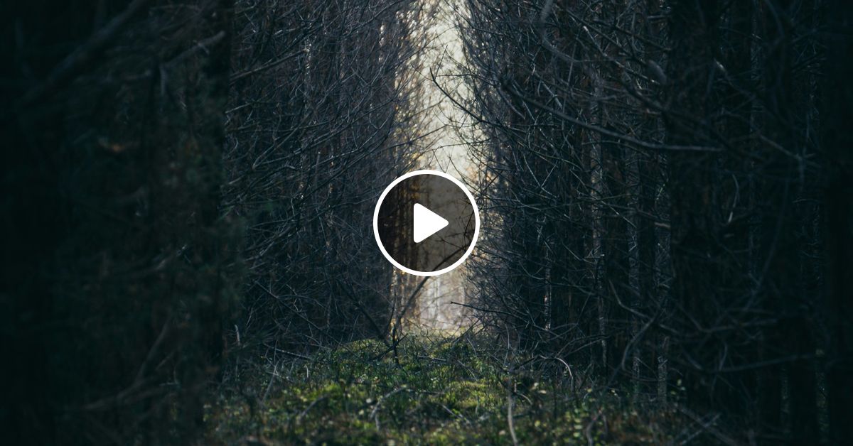this lonely path by low light mixes | Mixcloud