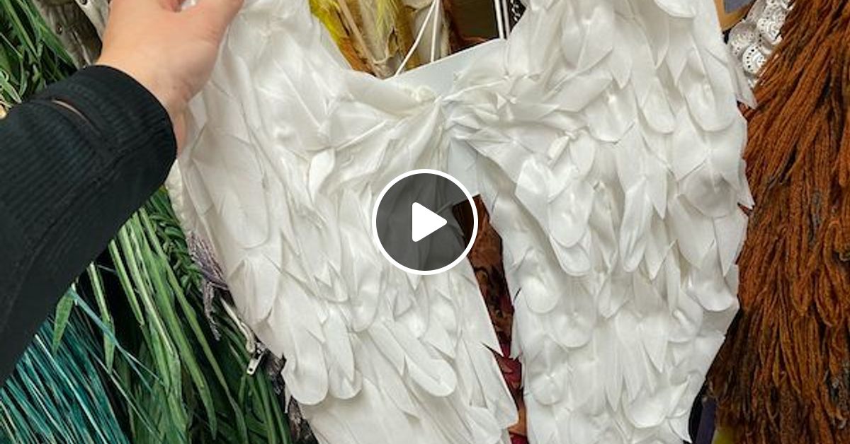 when we flew with the crows on Bornholm w/ Selma and Siri Viola ...