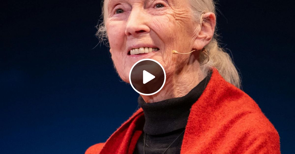 Remembering Dr. Jane Goodall by Climate One at The Commonwealt | Mixcloud
