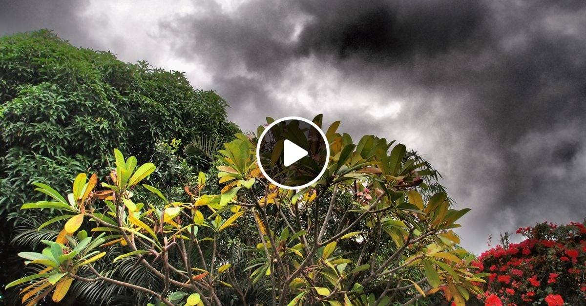 High Ku (Chinese Man) - The Jungle Session by Chinese Man Records ...