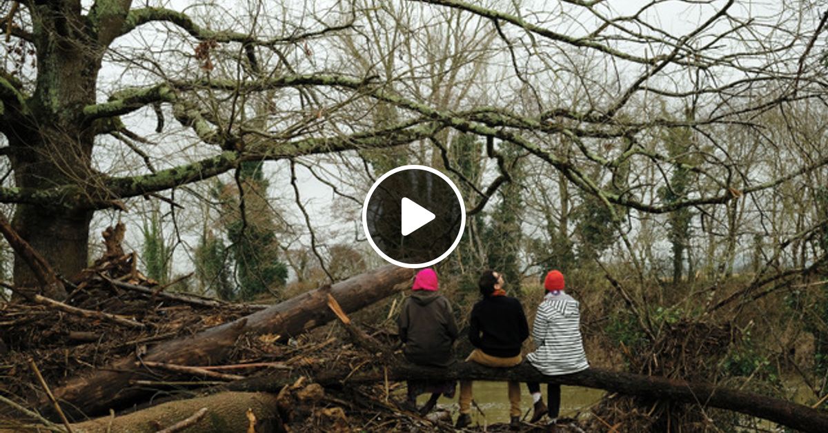 Interview de Marion Albert du collectif d'artistes "Elles Aveyronnent ...