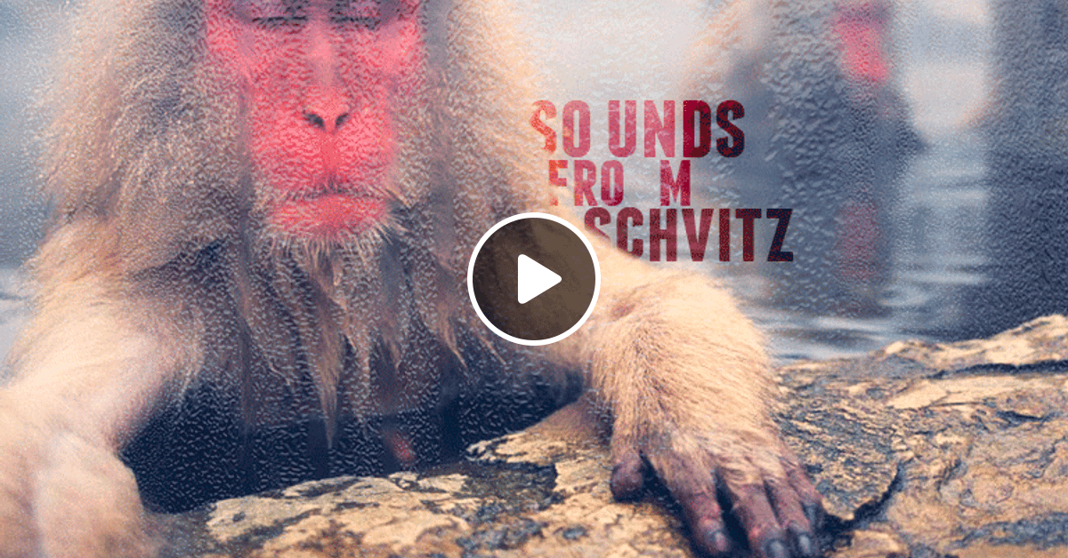 Jesse Futerman - Sounds from Schvitz by The Find Mag | Mixcloud