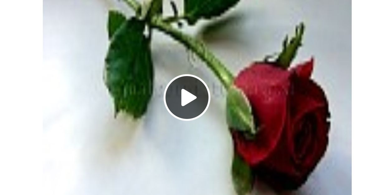 SOUL LOVE - VINTAGE RARE GROOVE by deejayshyguy | Mixcloud