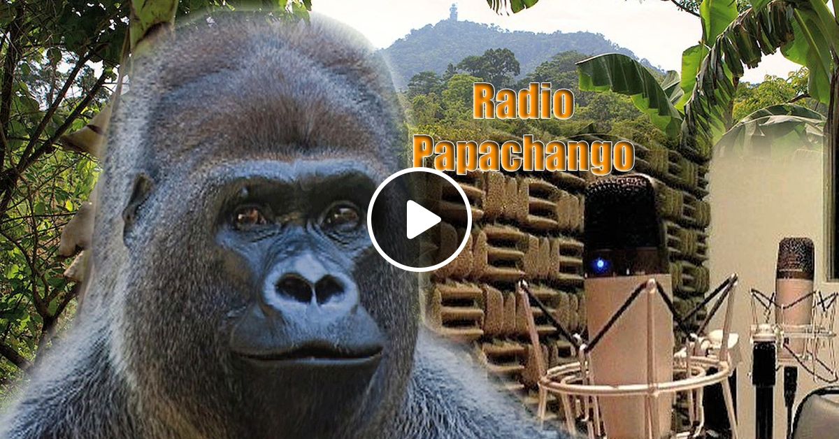 Que es BTS? descubrelo aqui en Radio Papachango by Radio Papachango ...