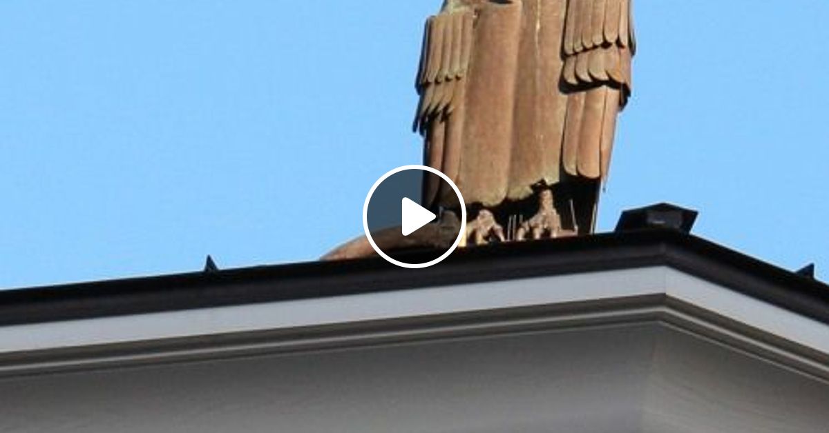 Episode 130: When the Swelling Goes Down with Actor, Playwright Samuel ...