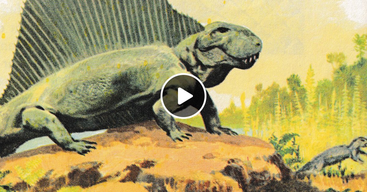 100 Goat Warehouse Subscription Mix May 2024 by Ghostropolis Radio ...