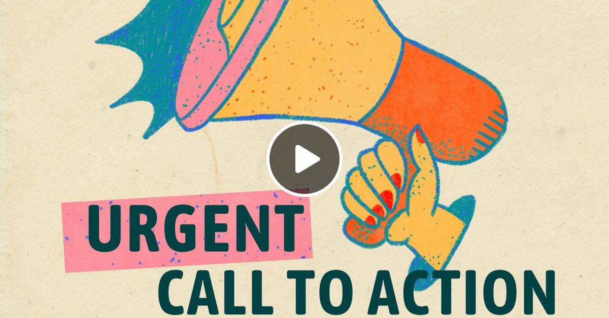 Amnesty International Youth Ambassador Talha Alali talks about Amnesty ...
