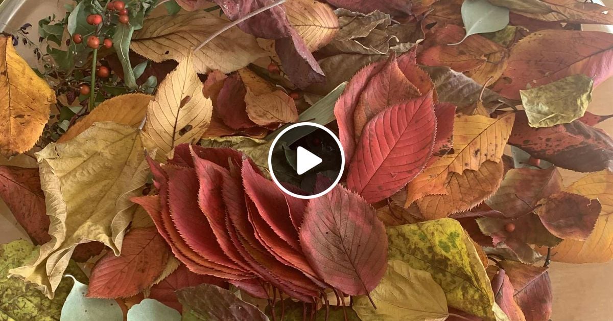 openradio No.360 2025/11/29 Waxing Moon by maki nakano -openradio ...