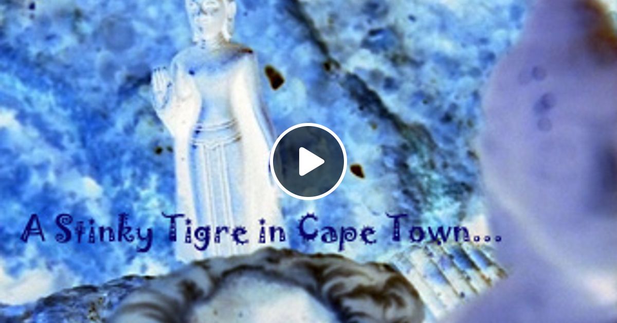 A Stinky Tiger in Cape town by David Boeglen | Mixcloud