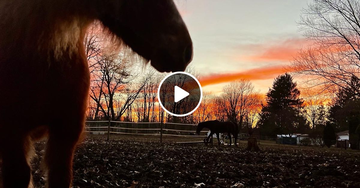 March 2022 Set by Richard Mutt | Mixcloud