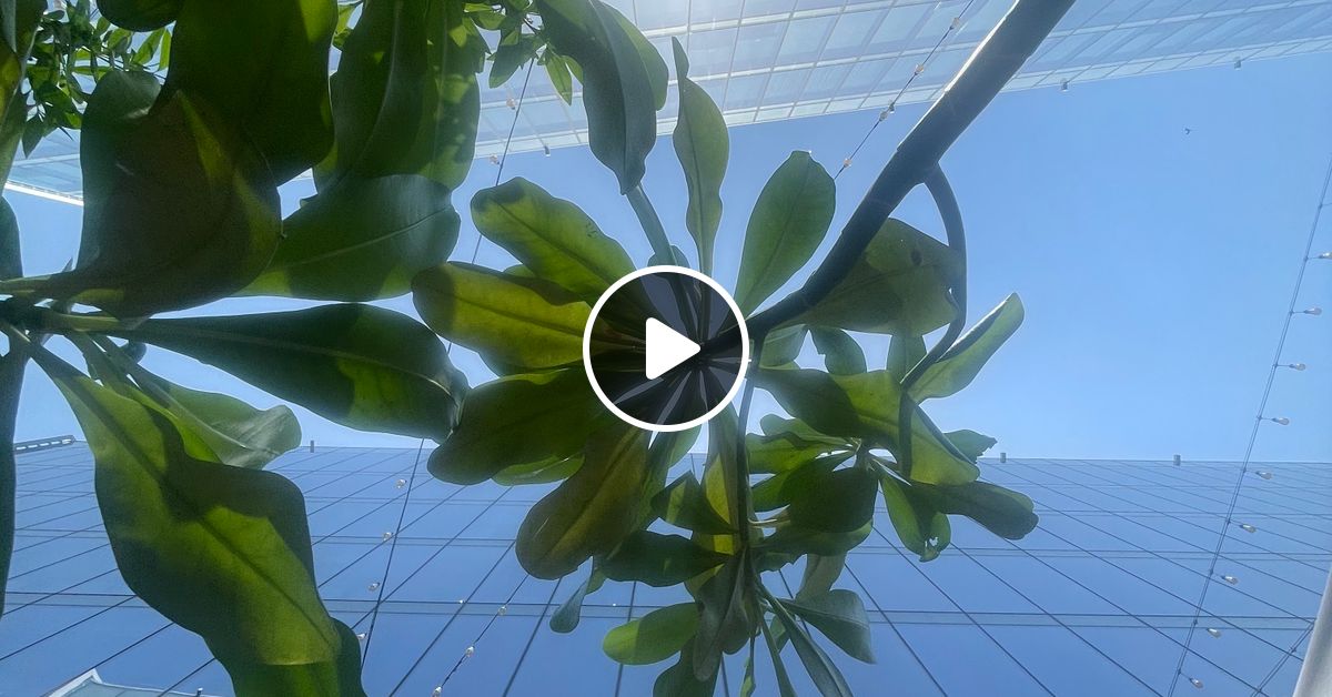 chasing the sun - baby k - 19 May 2023 by Refuge Worldwide | Mixcloud