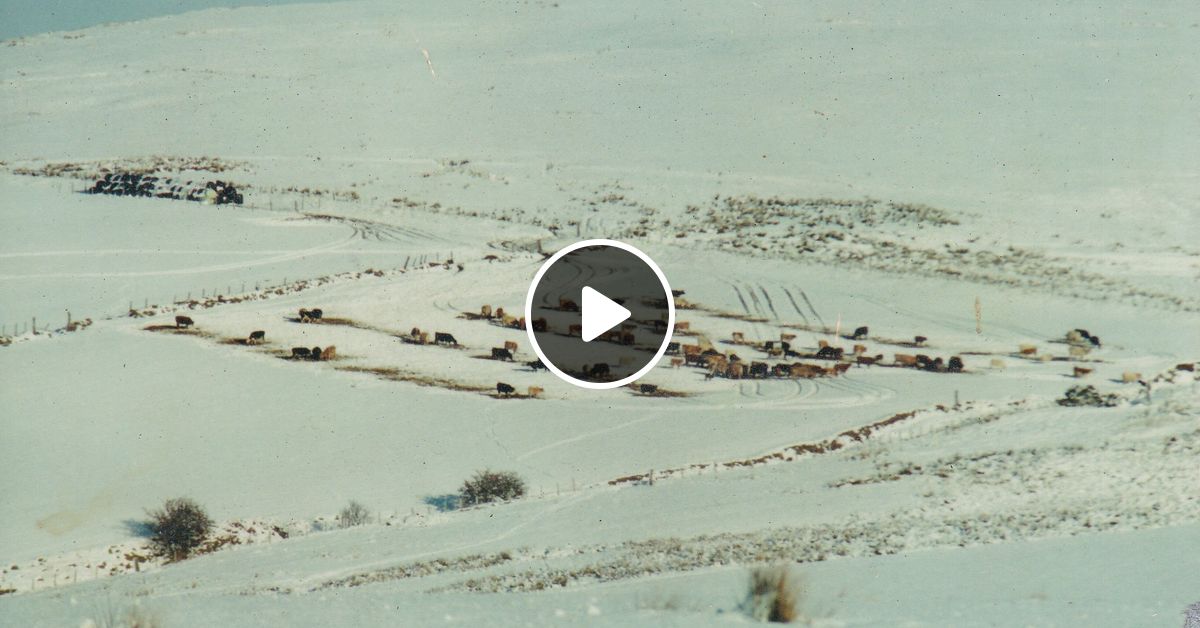 SERiOUS jONES .. .. by Ian Japp | Mixcloud