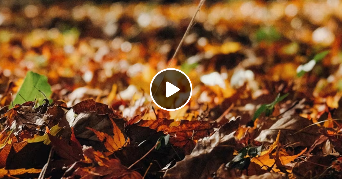 20251116 a.m. #11 Gospel House etc MIX (LIVE REC) by null. | Mixcloud