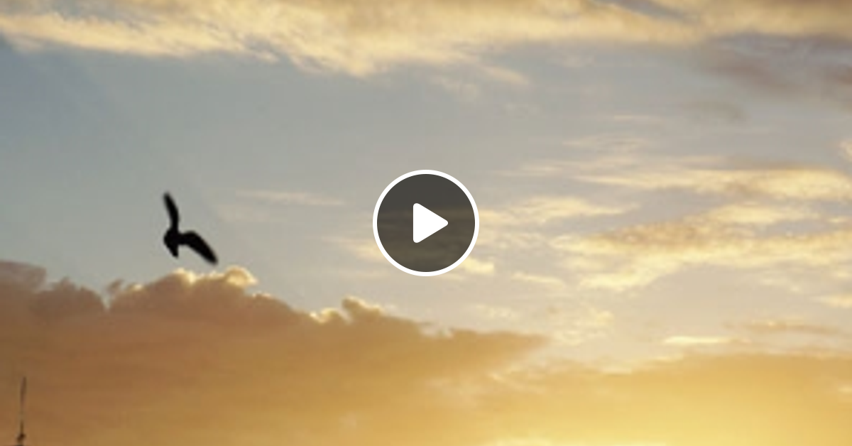 Nick Luscombe : New Ratio Programme 77 by Nick Luscombe > NEW RATIO ...