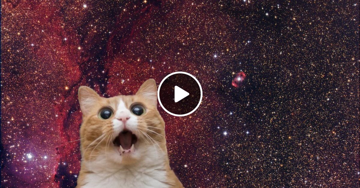 Space Cat's Music Vol.1 by Alina Shumak | Mixcloud