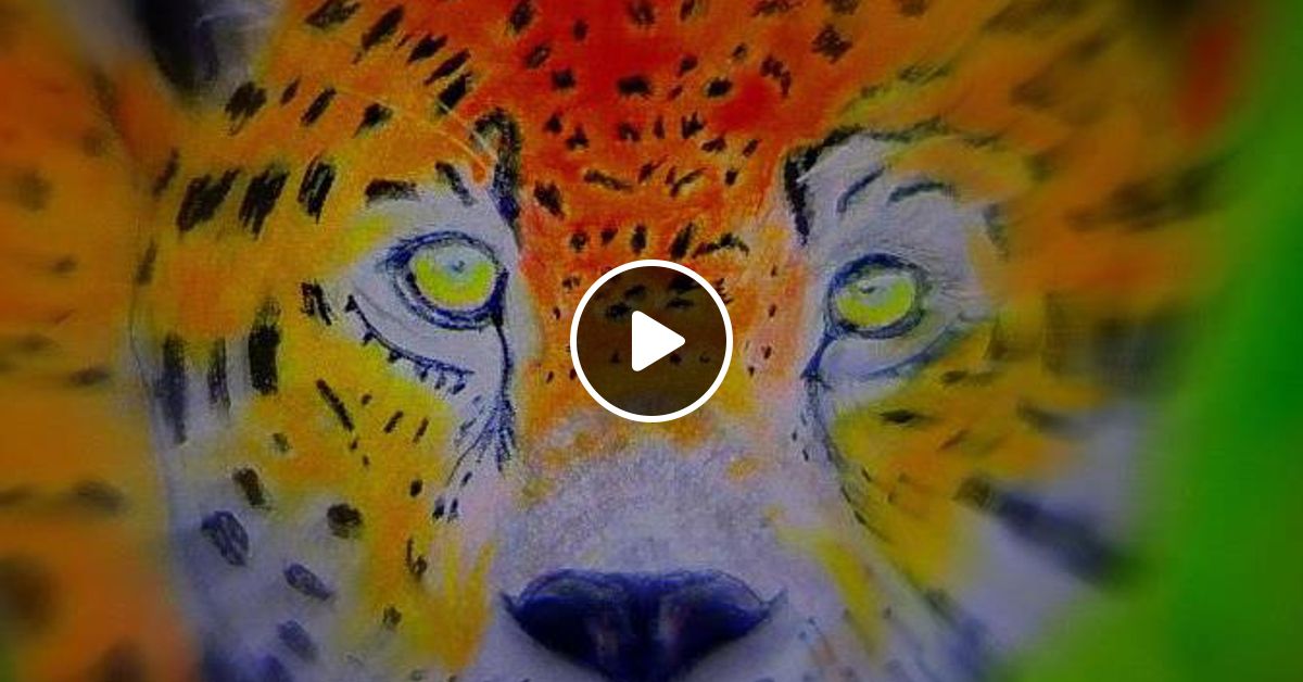 Orcas Ecstatic Dance - 5-22-12 - DANCE OF THE SPIRIT ANIMAL by DJ ...